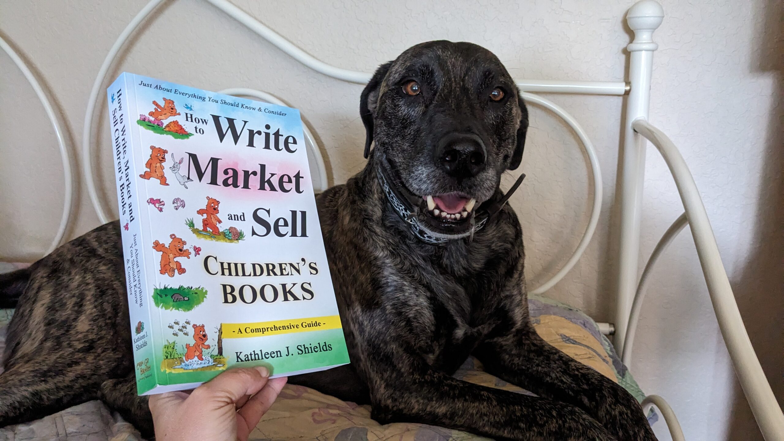 How to Write, Market & Sell Children's Books - Kathleen J. Shields